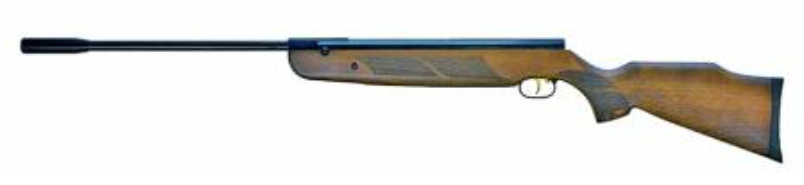 177 Caliber Airgun Terminal Performance
