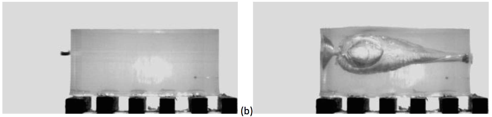 Handgun Wounding Effects Due to Bullet Rotational Velocity