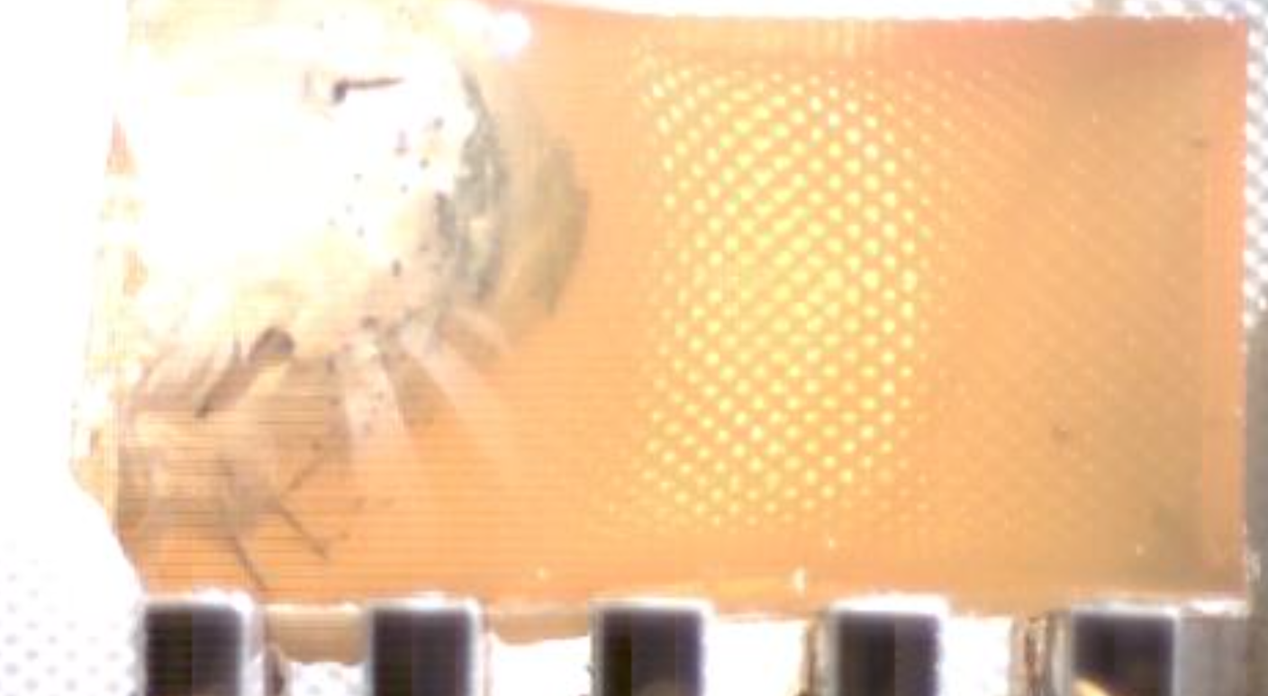 Exotic 12 Gauge Shotgun Ammunition Performance Summary